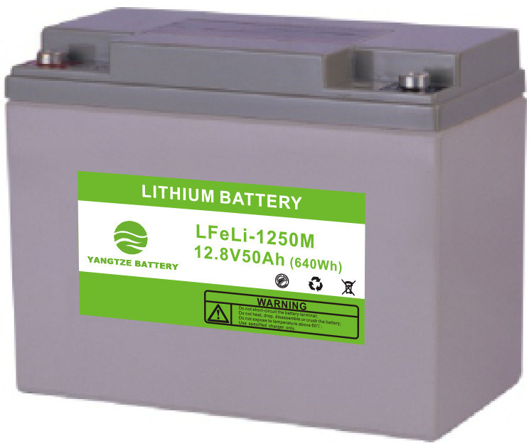 Deep Cycle LiFePo4 Lithium Ion Solar Battery 12V 50AH Solar Panels ...